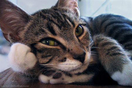 Portraits | Morrill Support Fine Art Photography: Joyce Morrill;Ed ...