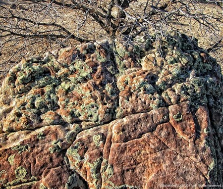 Images of New Mexico | Morrill Support Fine Art Photography: Joyce ...