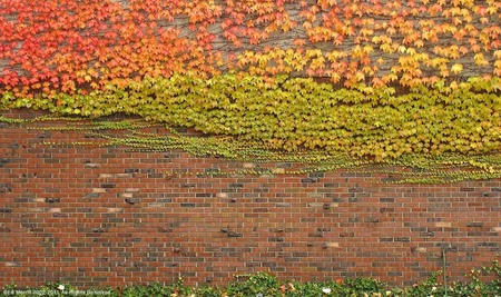 Patterns | Morrill Support Fine Art Photography: Joyce Morrill;Ed ...