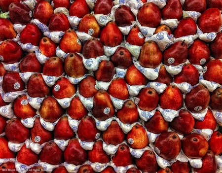 Patterns | Morrill Support Fine Art Photography: Joyce Morrill;Ed ...